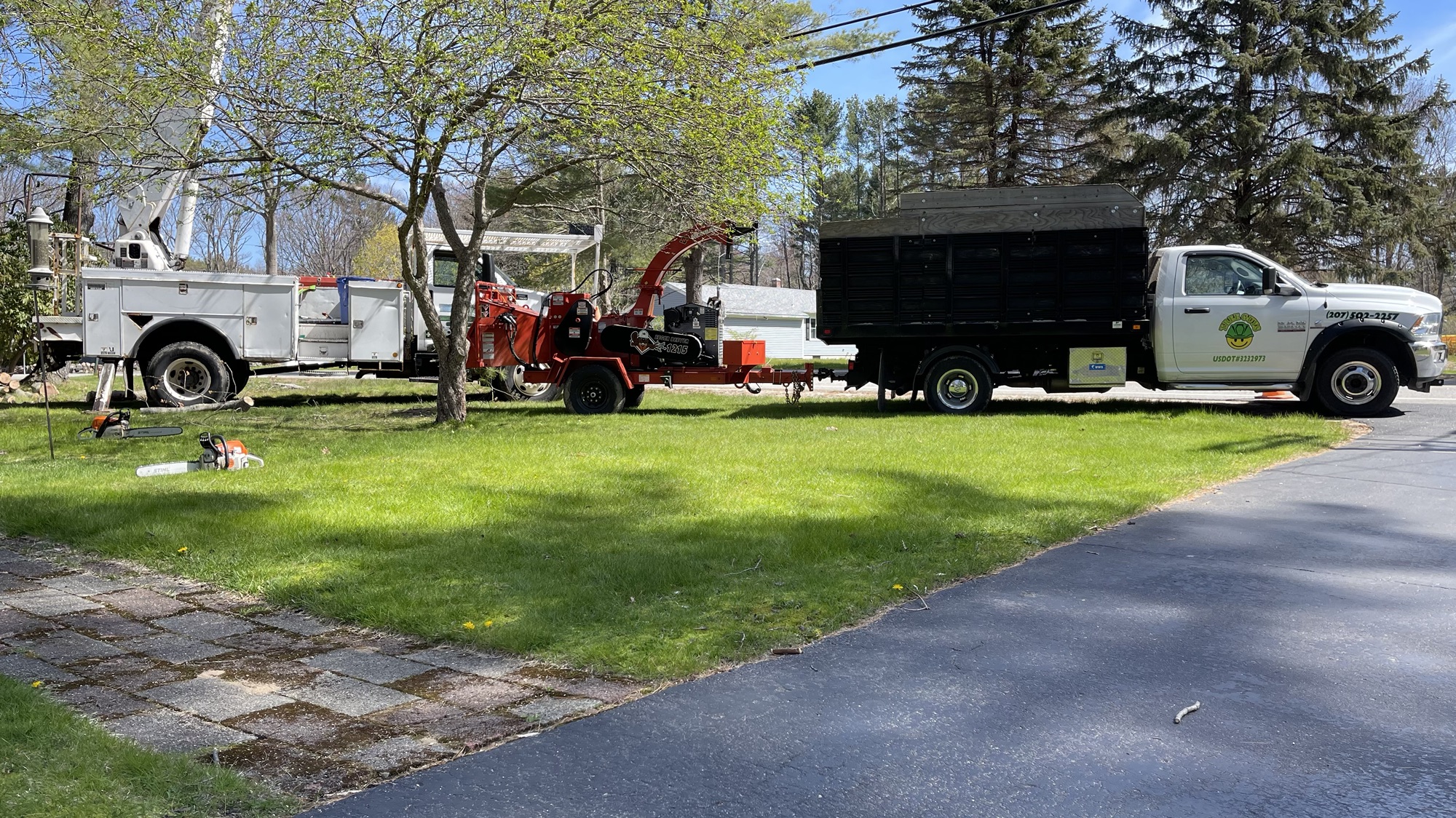 Gallery – Tree Guys Inc.